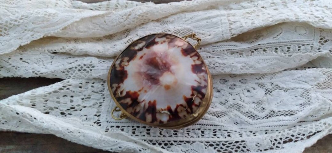 Victorian Shell Coin Purse -ring Box - Etsy