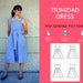 Anne Dress and Top PDF Printable Sewing Pattern and Tutorial - Etsy Canada