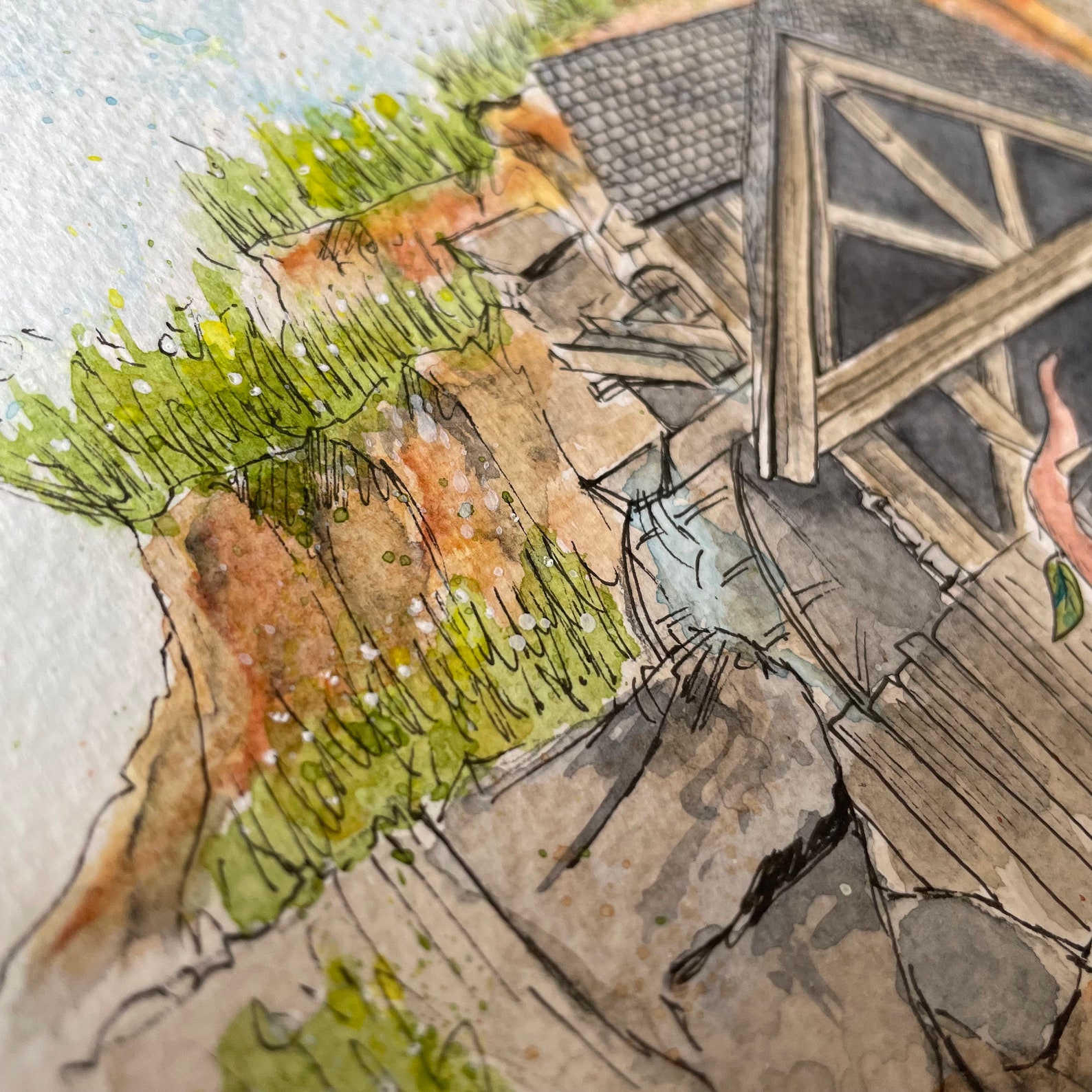 Splash Mountain Ride Disney World PRINTS AVAILABLE From My - Etsy