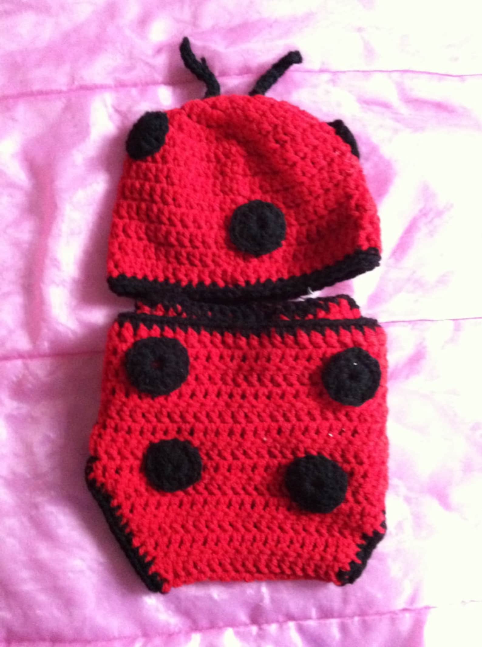 Lady Bug Hat and Diaper Cover Baby Set Ladybug Set - Etsy