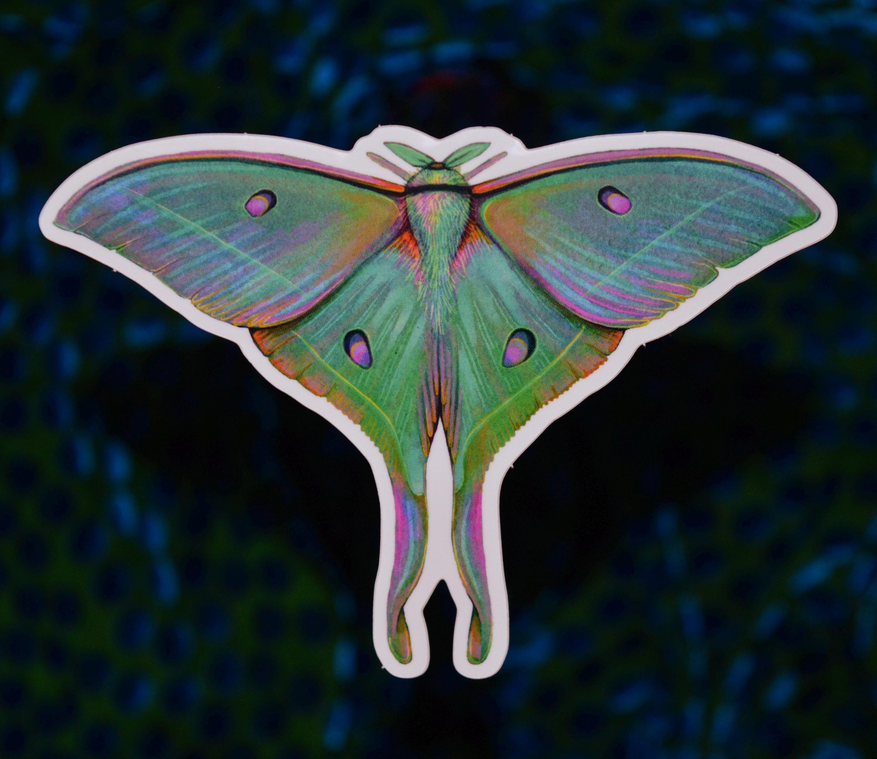 Luna Moth Sticker / Vinyl Sticker / Bug Art / Colorful Luna Moth ...