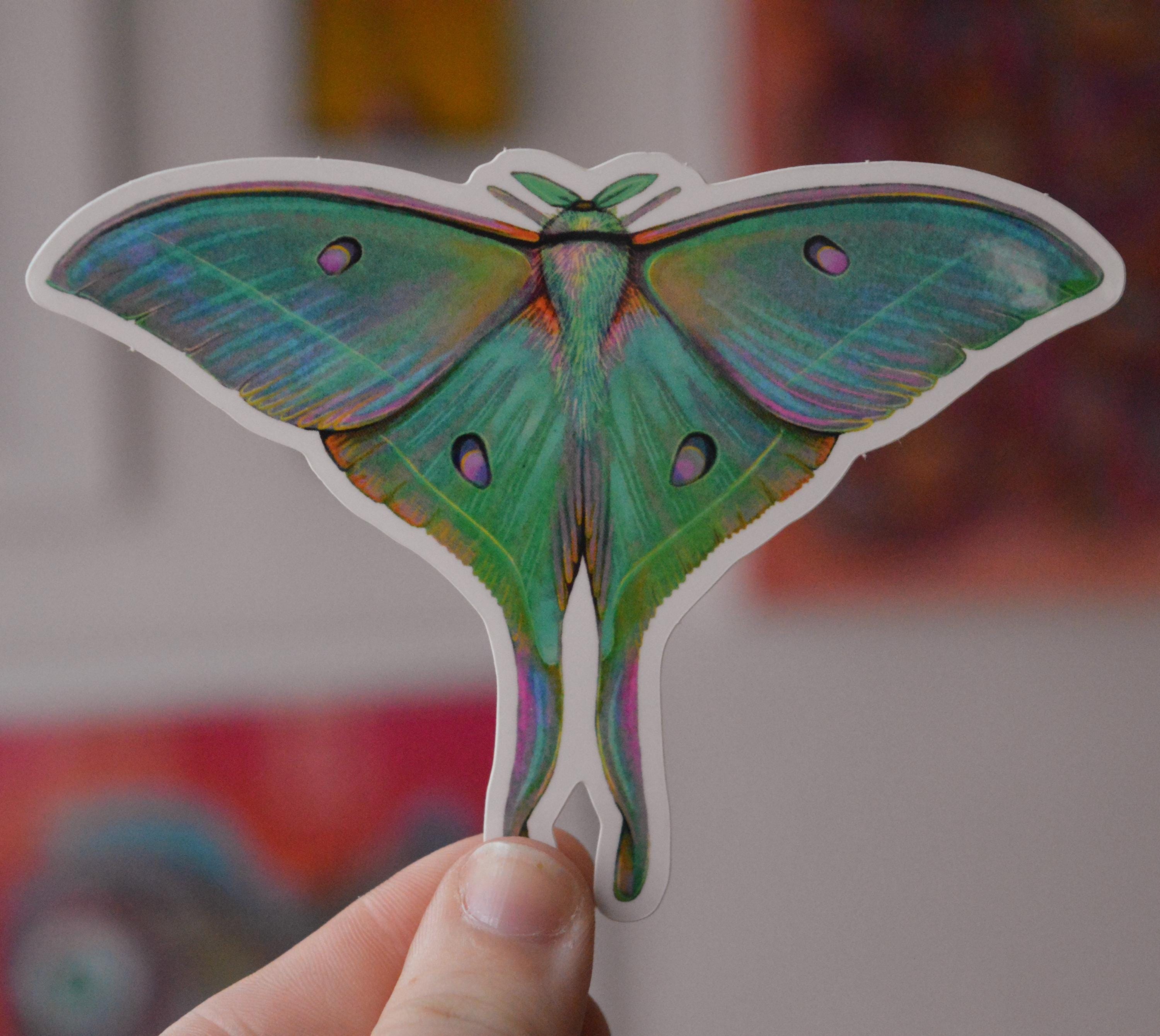 Luna Moth Sticker / Vinyl Sticker / Bug Art / Colorful Luna Moth ...