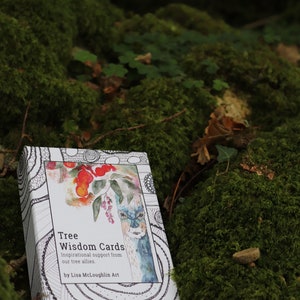Final Stock! Tree Wisdom Cards With New Rigid Box - Etsy