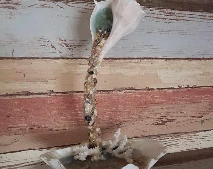 Vintage FLOATING SHELL Seashell Decor Display Beach House - Etsy
