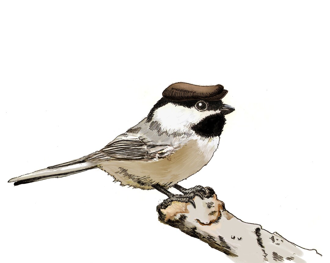 Chickadee Thank You Card (pack of 10) - Etsy