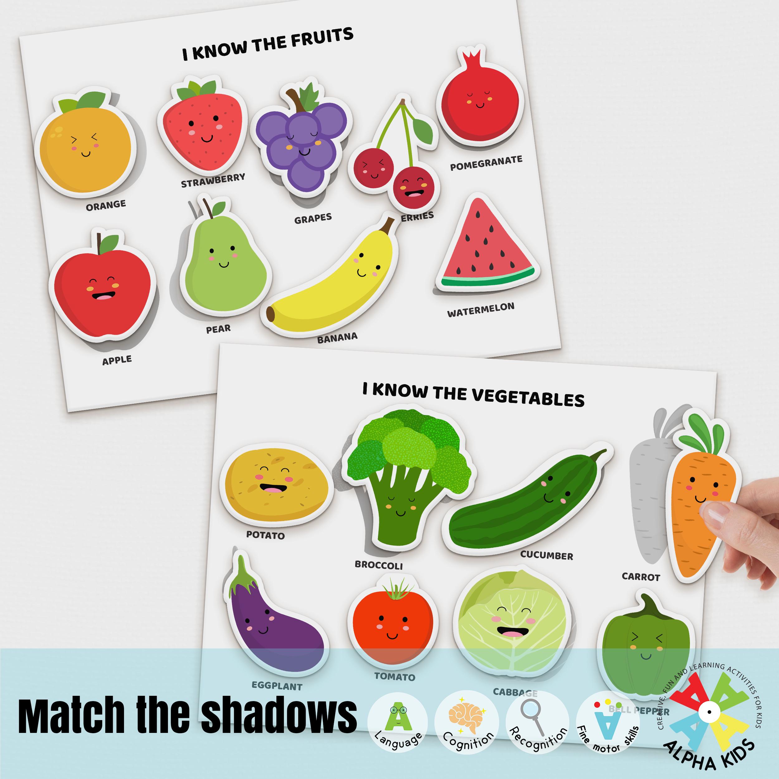 Printable Match the Shadows Activity, Animal Vehicles Shapes Fruits ...