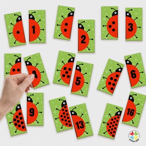 Printable Count Activity Puzzle Card, Ladybug Count and Match ...