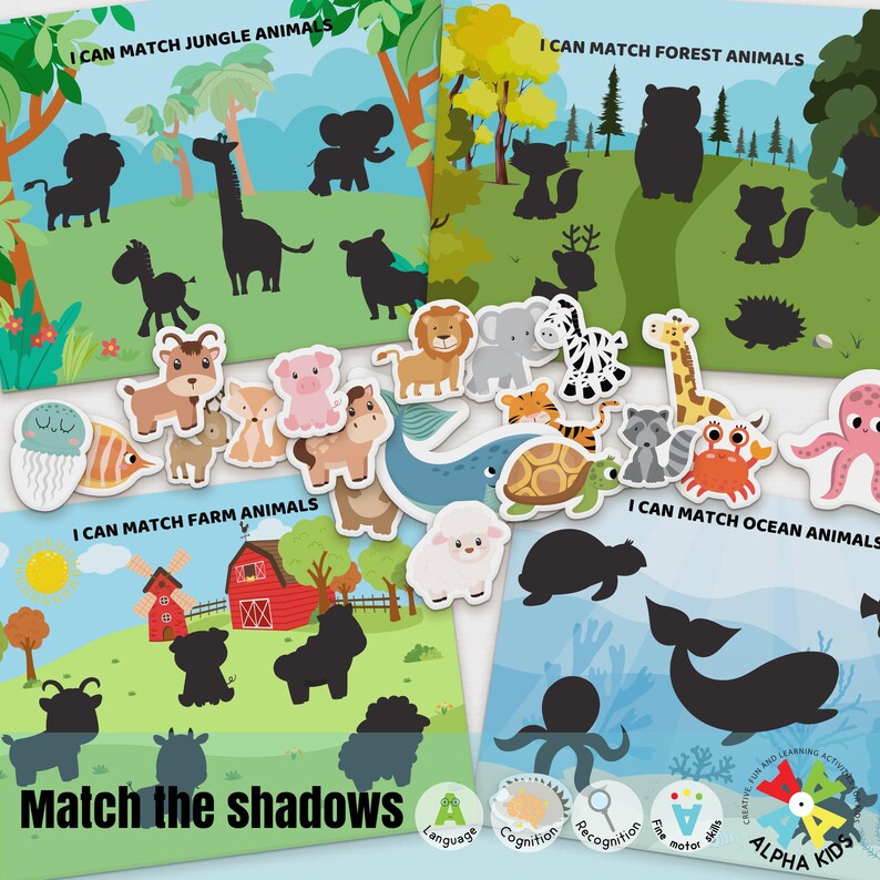 Printable Match the Shadows Activity, Animal Vehicles Shapes Fruits ...