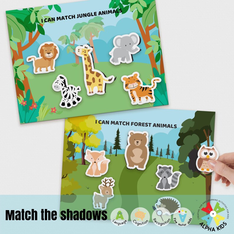 Printable Match the Shadows Activity, Animal Vehicles Shapes Fruits ...