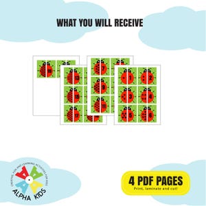 Printable Count Activity Puzzle Card, Ladybug Count and Match ...