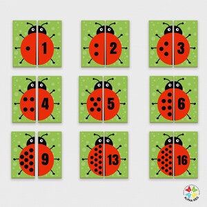 Printable Count Activity Puzzle Card, Ladybug Count and Match ...