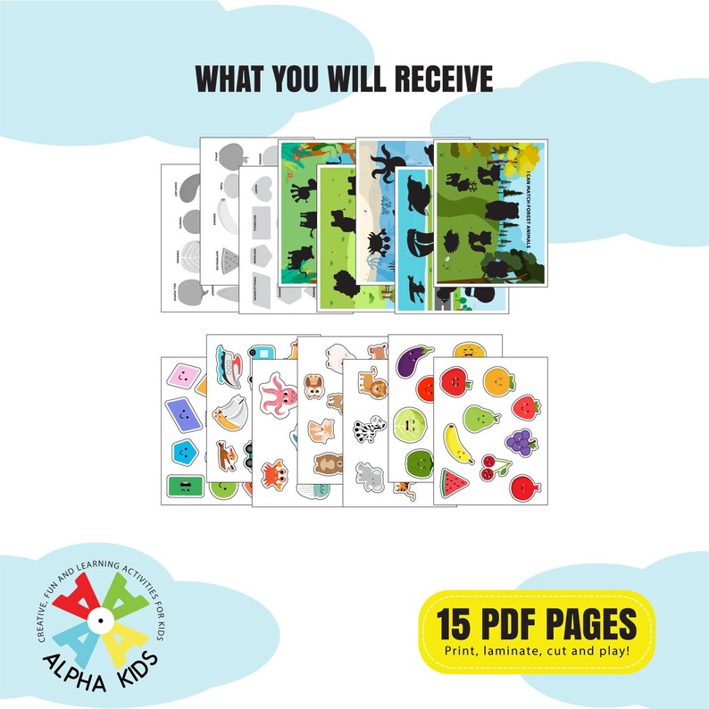 Printable Match the Shadows Activity, Animal Vehicles Shapes Fruits ...