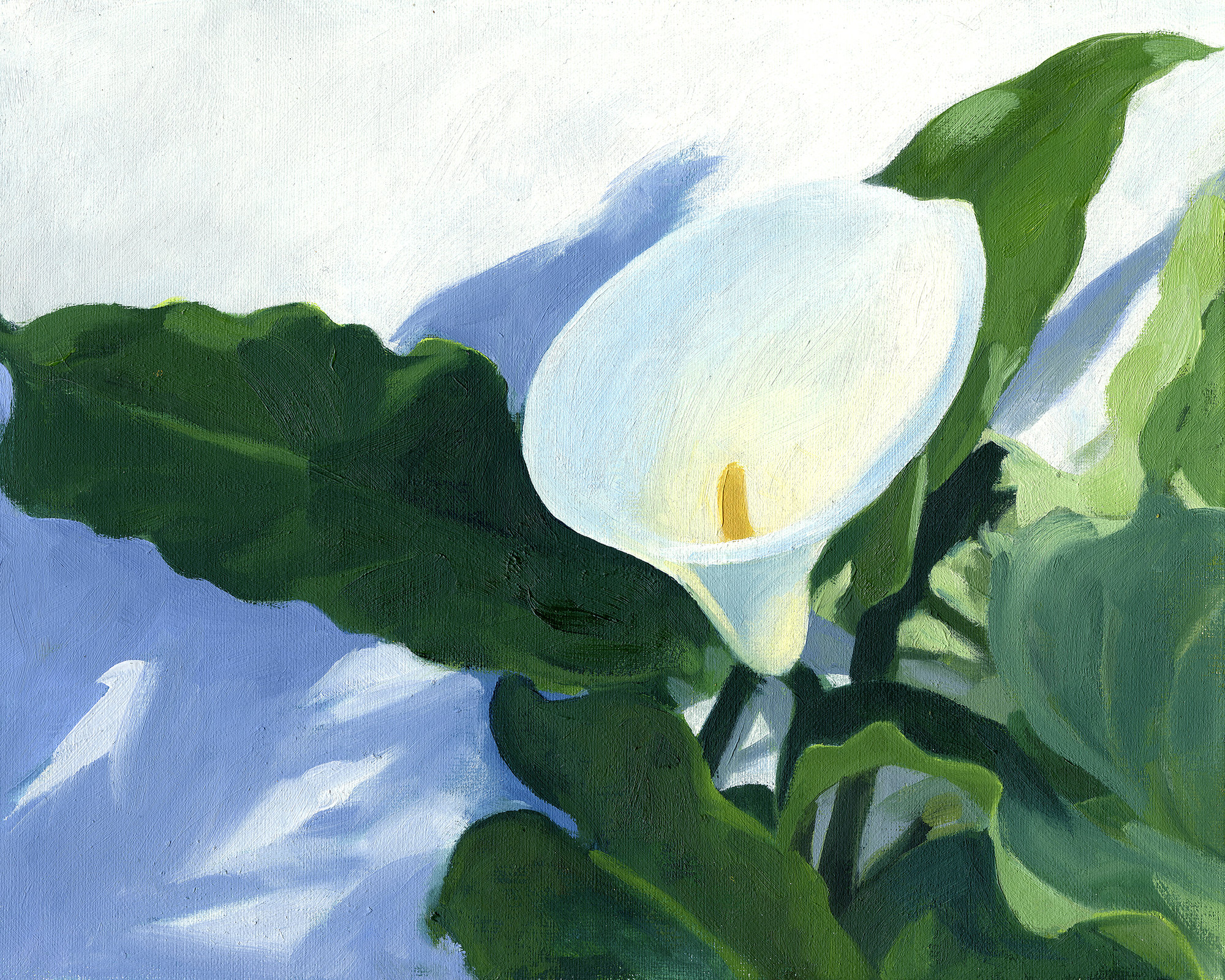 Single Flower Oil Paintings