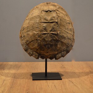 10" Metal Display Stand for Round Objects - 4x4” Base - Etsy