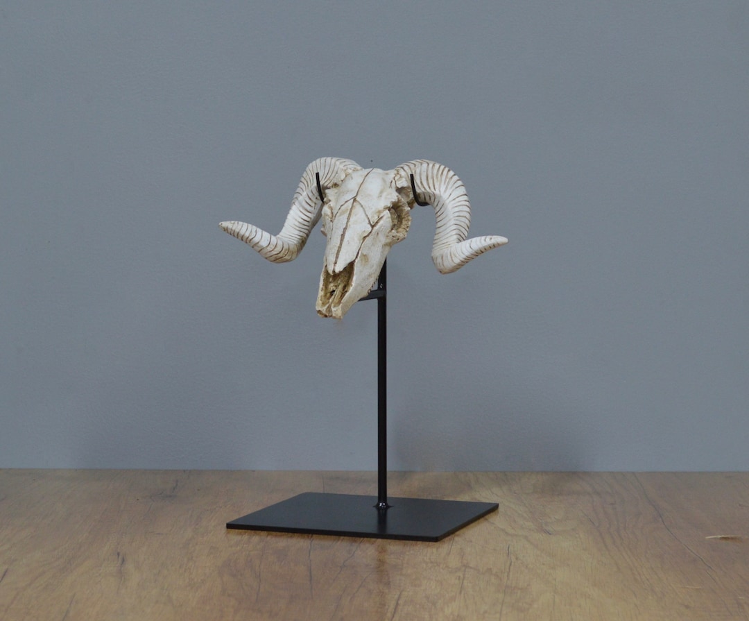 18” Metal Display Stand for Skull - 7x8" Base - Etsy