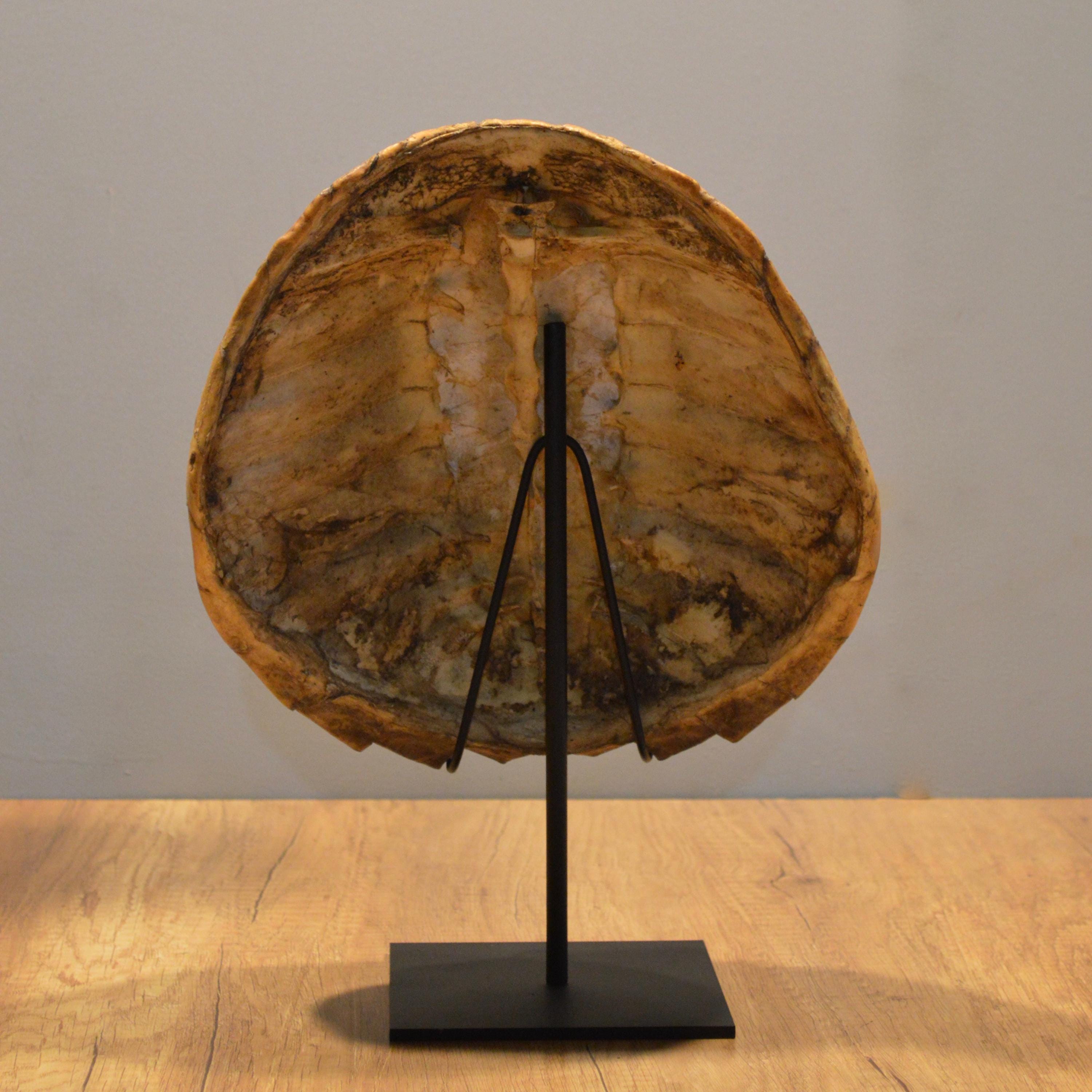 15” Metal Display Stand for Round and Other Objects - 6x6 Base - Etsy