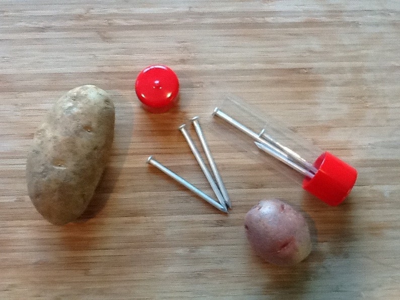 Potato Baking/cooking, Outdoor Hot Dog Bbq/barbecuing Nails, Set of 6 ...