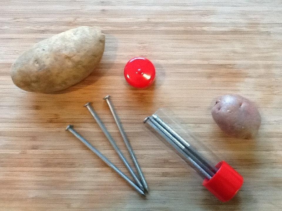 Potato Baking/cooking, Outdoor Hot Dog Bbq/barbecuing Nails, Set of 6 ...