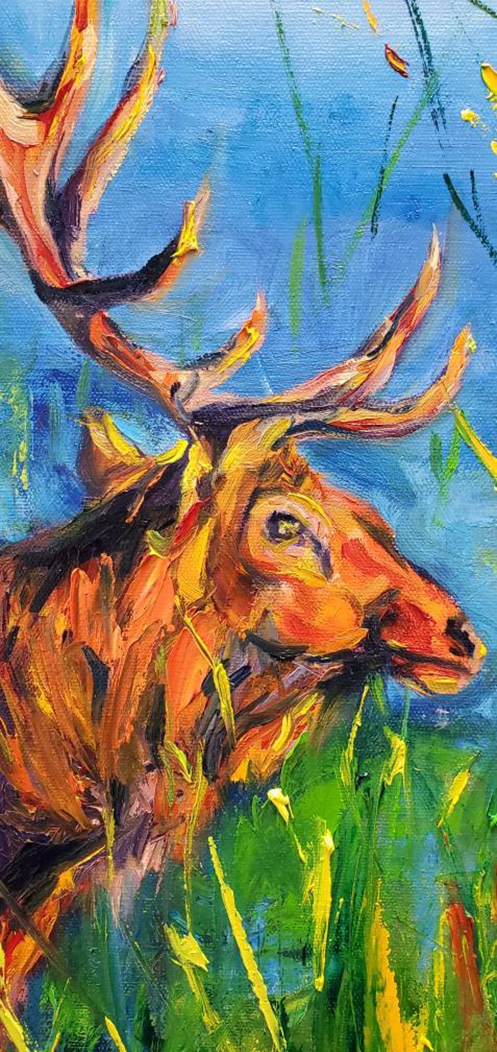 ELK on BLUERIDGE MOUNTAIN, Blueridge Mountain, Original Painting ...