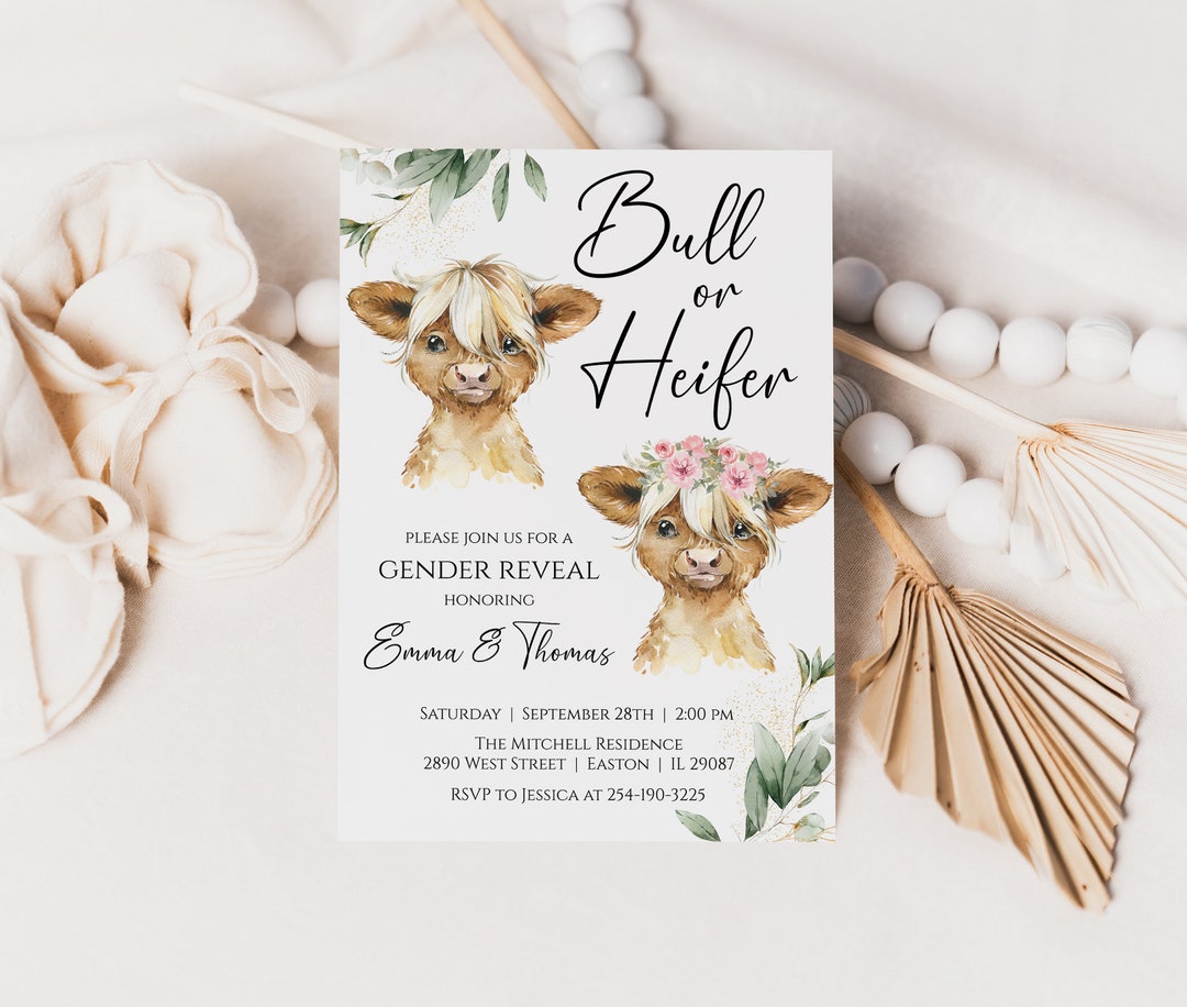 Cow Gender Reveal Invitation, Bull or Heifer, Highland Cow, He or She ...