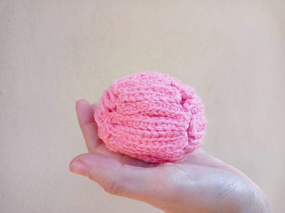 BRAIN. Anatomical Amigurumi Handmade Plush. Medical Toy - Etsy