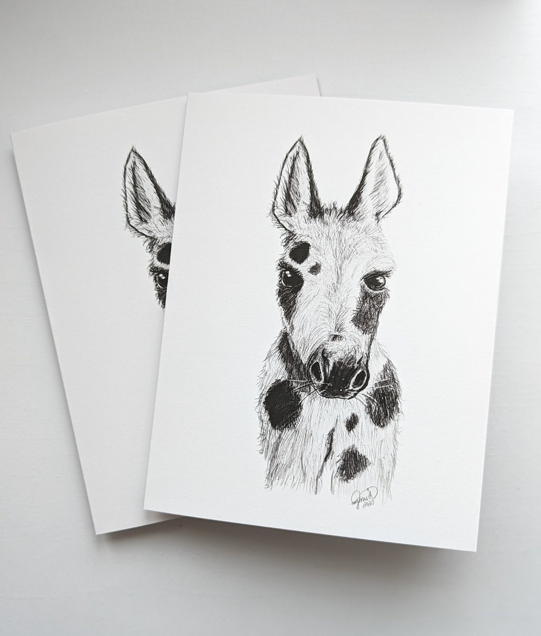 Baby Donkey Card, Spotted Black and White Donkey, Farm Card, Original ...