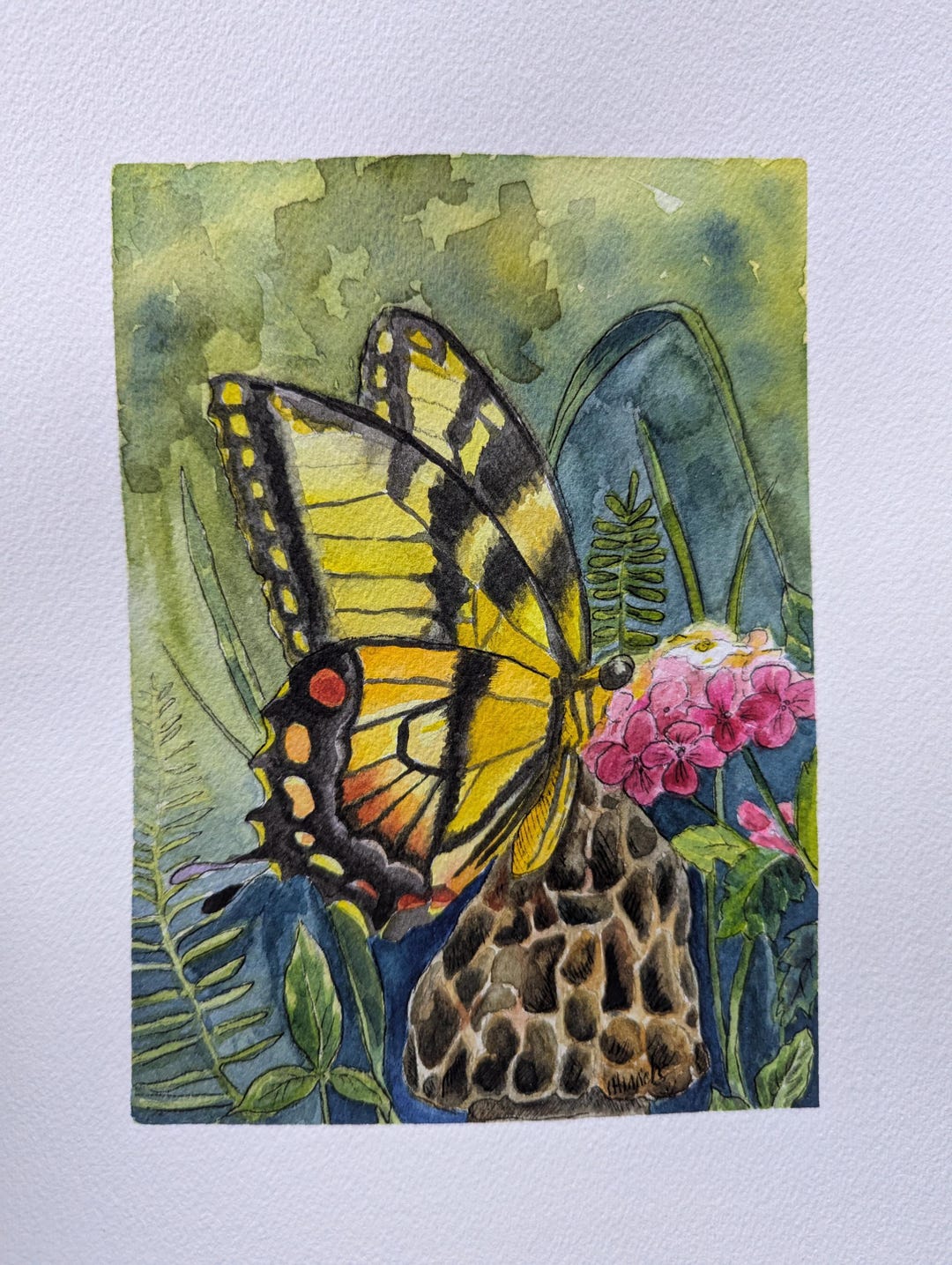 Eastern Swallowtail Watercolor Painting: Iowa Butterfly & Morel ...