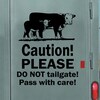 Livestock Trailer Decal, Cows, Large Decal, Cows Were Out - Etsy