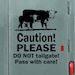 Livestock Trailer Decal, Cows, Large Decal, Cows Were Out - Etsy