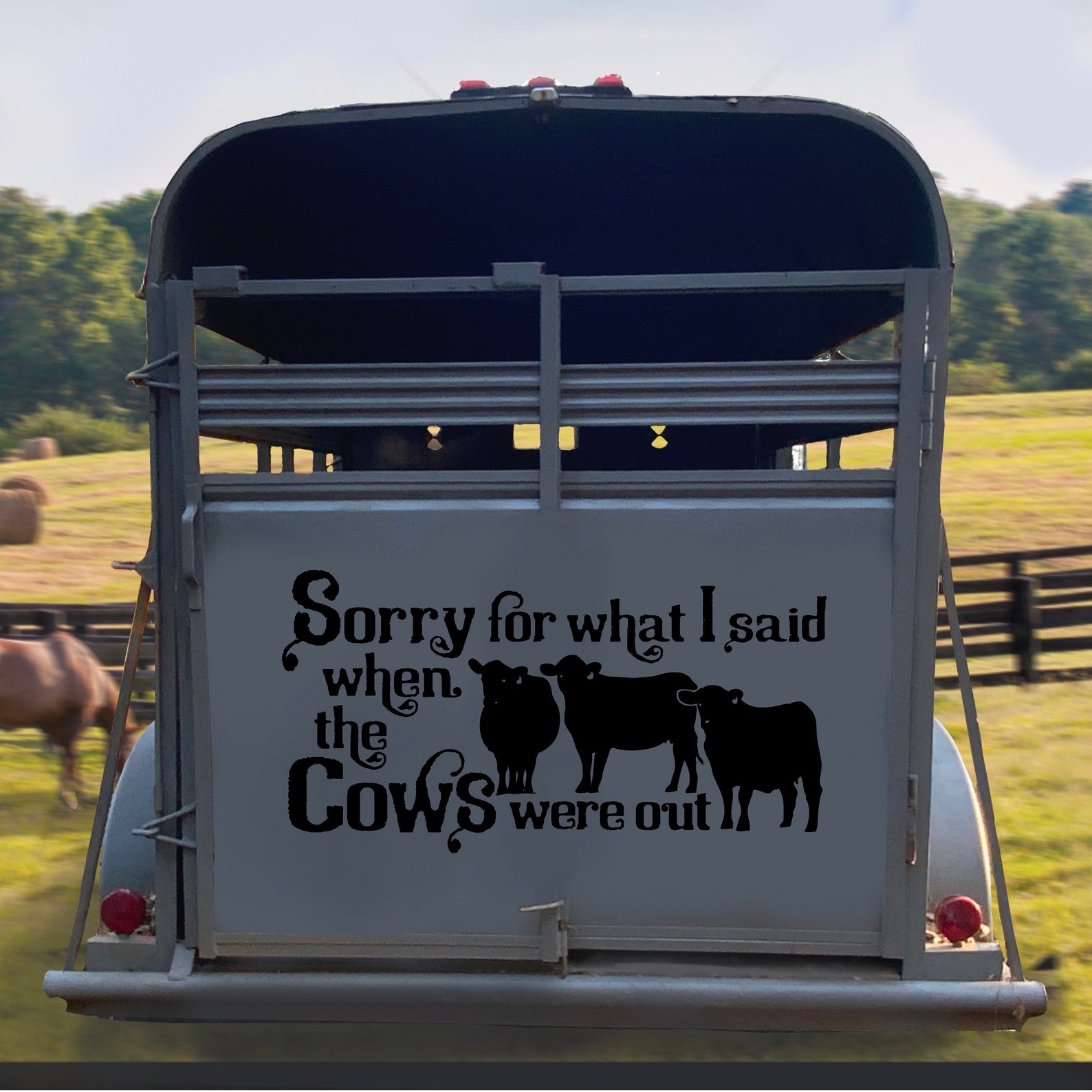 Livestock Trailer Decal, Cows, Large Decal, Cows Were Out - Etsy