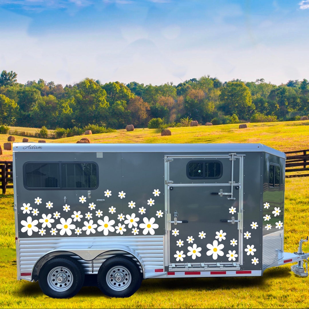Blooming Beauty, Set of 52 Daisy Decals for Walls, Cars, Trailers and ...