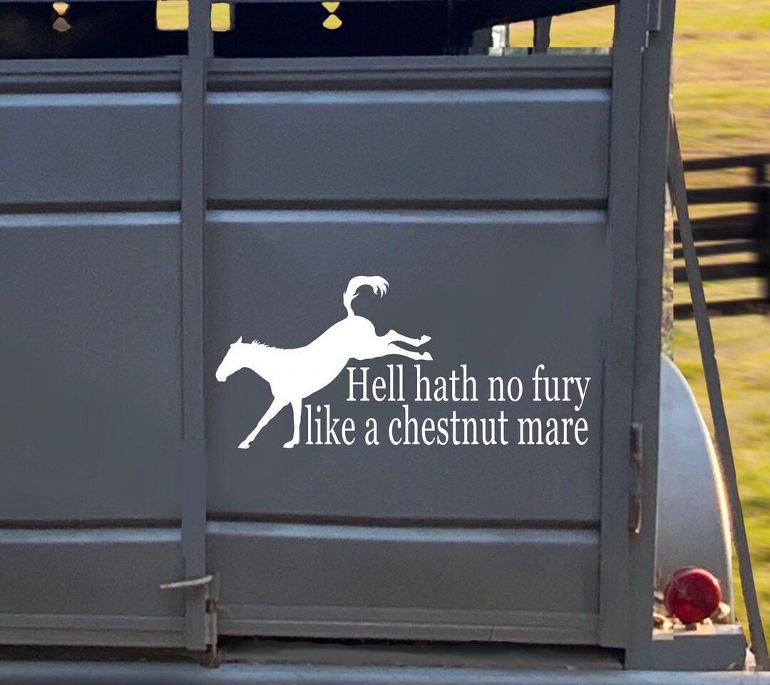 Hell Hath No Fury Like a Chestnut Mare| Funny Bumper Sticker | Horse ...