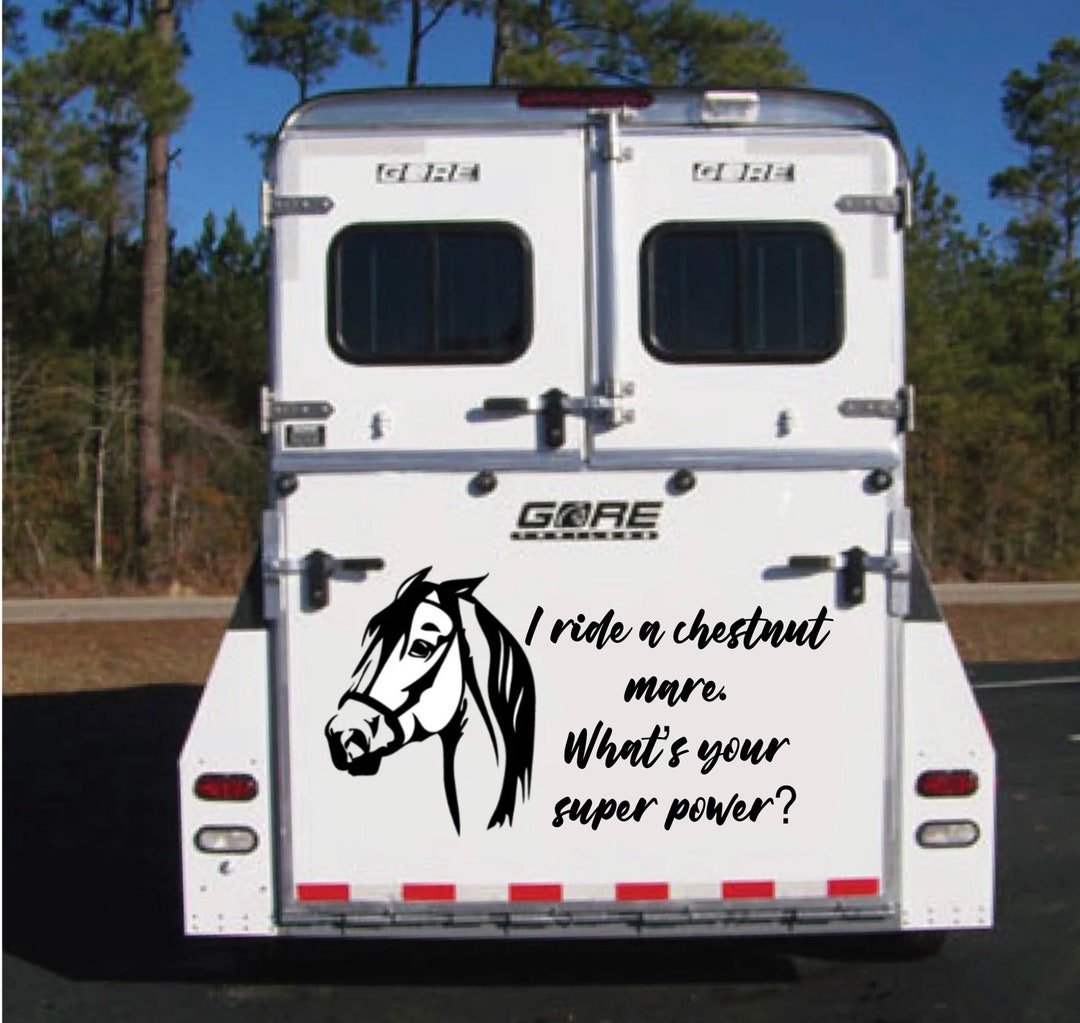 Horse Trailer Decal, Chestnut Mare, Horses - Etsy