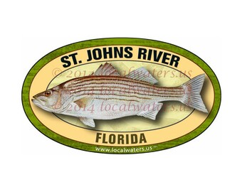 Striped bass decal | Etsy