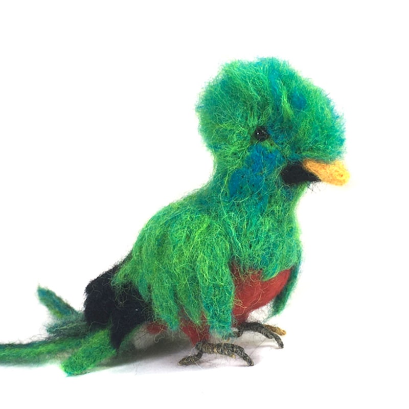 Quetzal - Etsy
