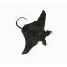 Manta Ray: Felted Alpaca Sculpture - Etsy