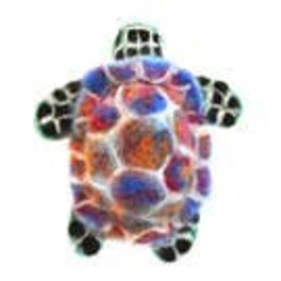 Olive Ridley Australian Sea Turtle Felted Alpaca Fiber Ornament - Etsy