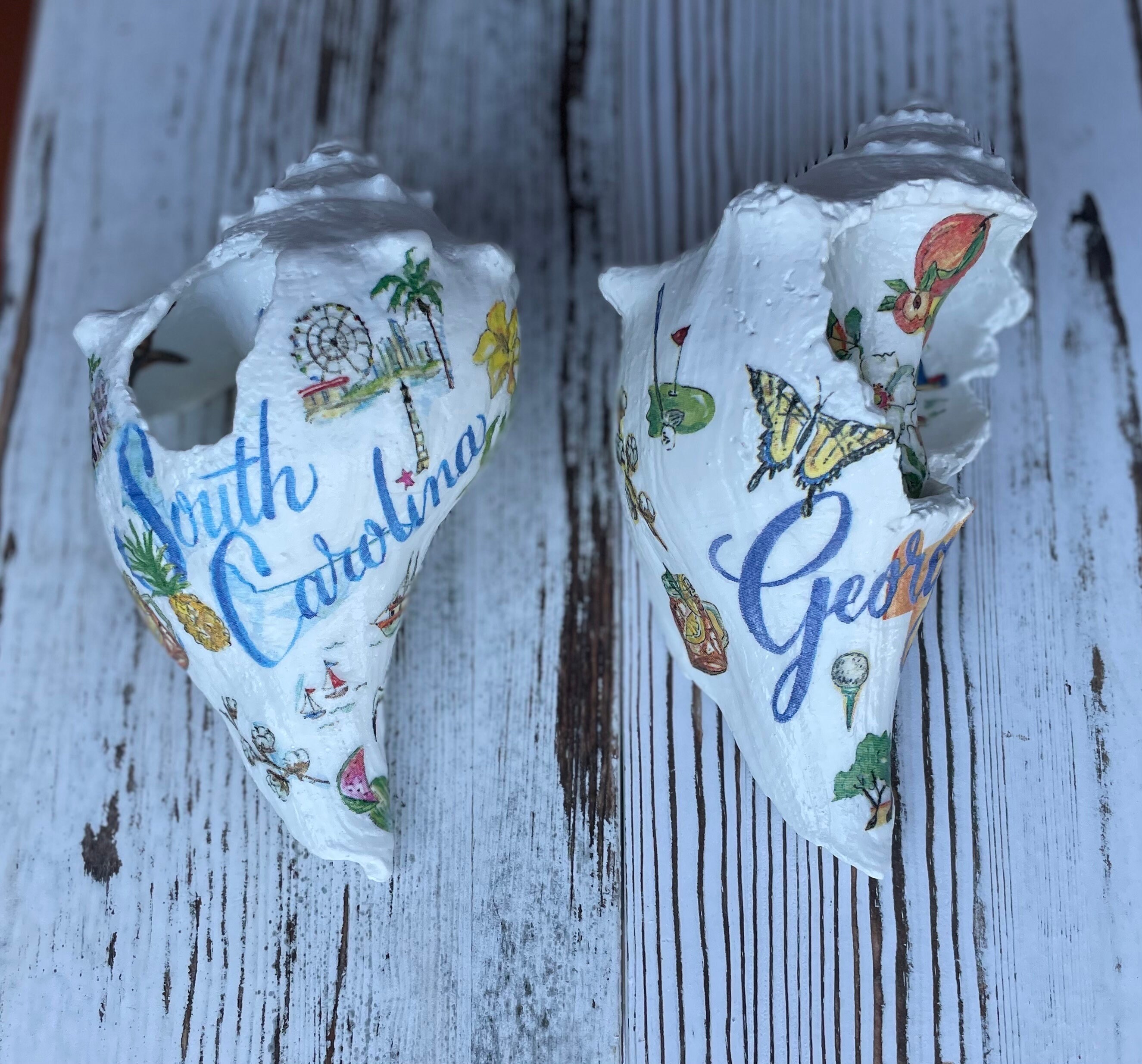 State Themed Whelk, Broken Shell Art, Decorator, Shelling, Tarheels ...