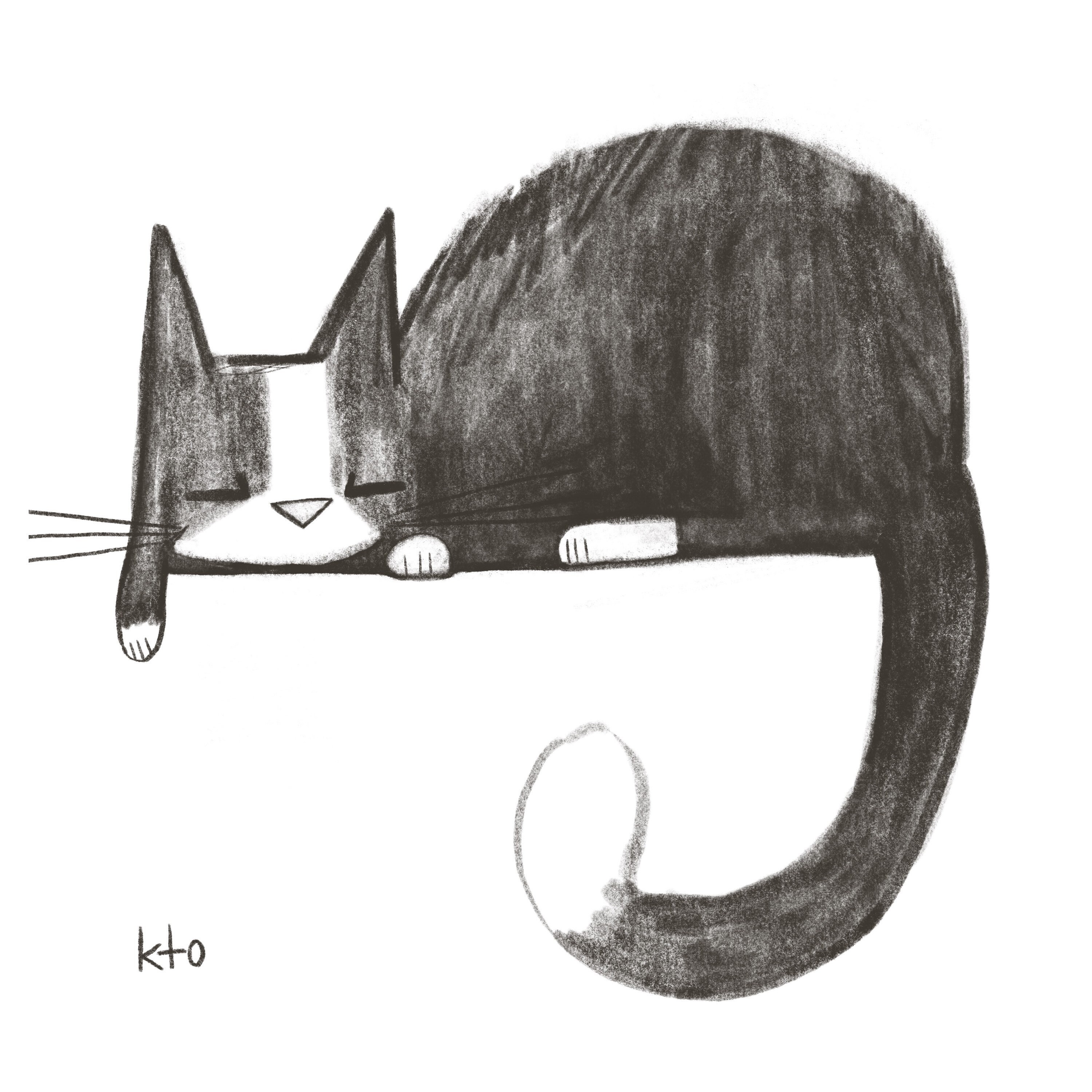 Tuxedo Cat Drawing