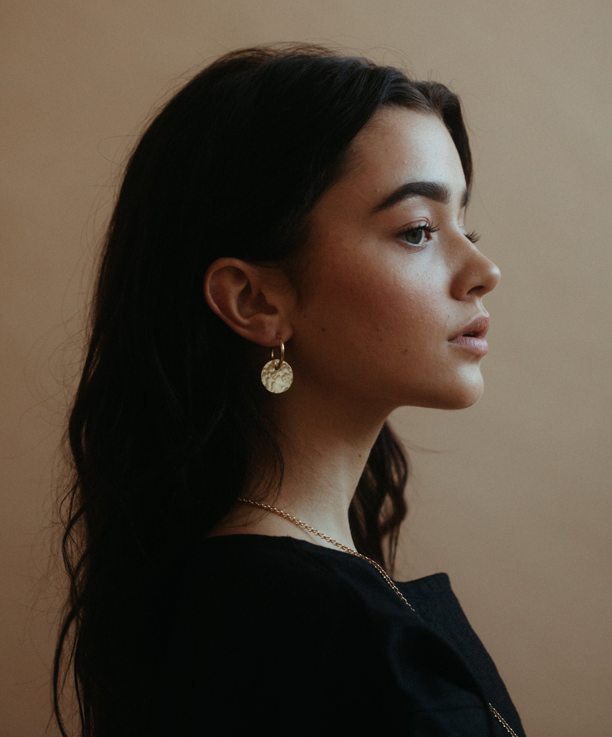 Mini Delphine Hoops - Etsy