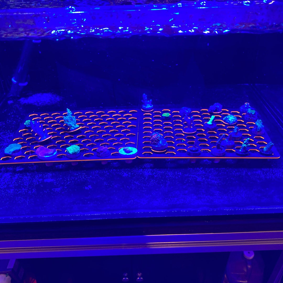 9 Low Profile Coral Frag Rack - Etsy