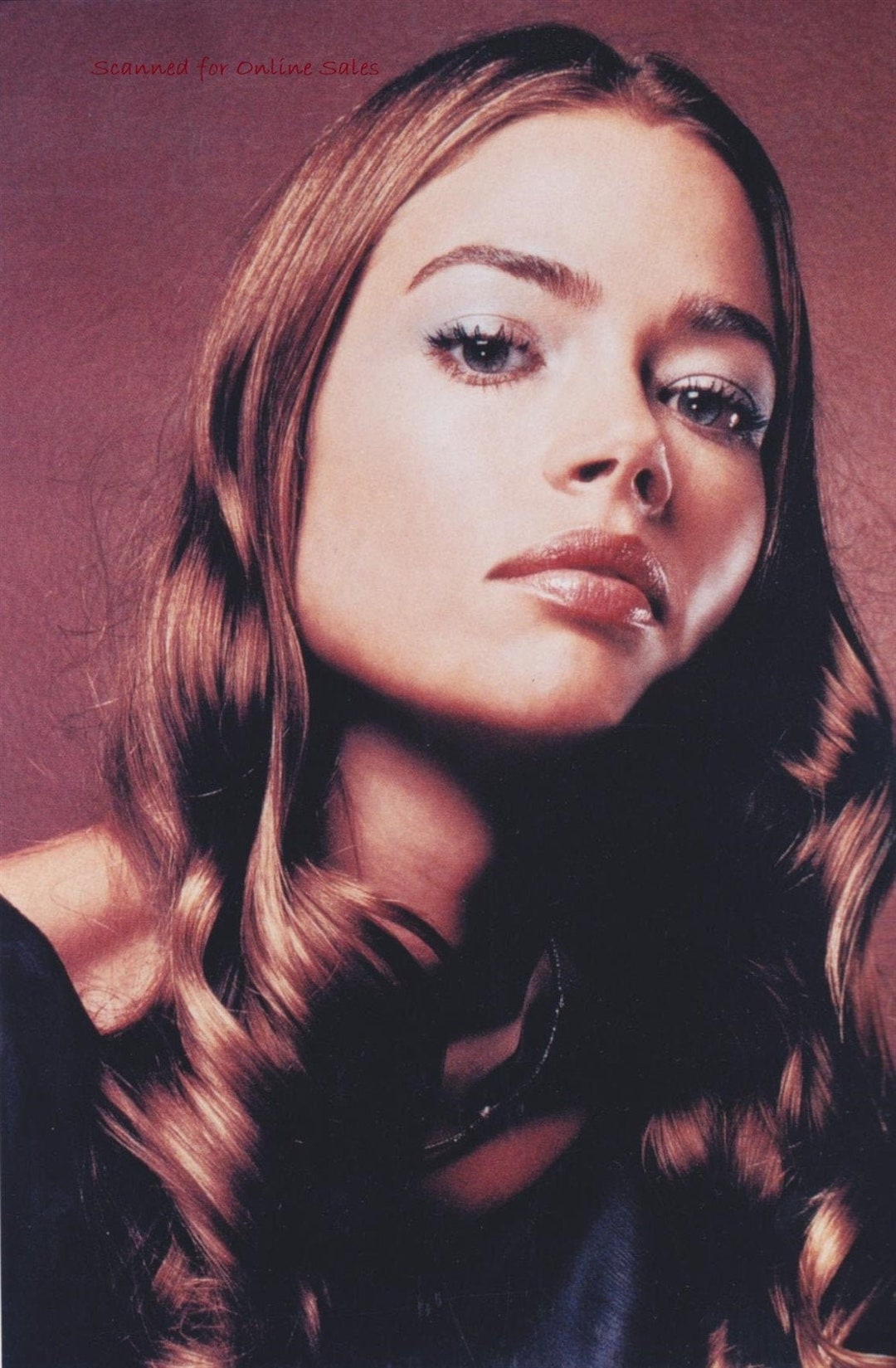 Denice Denise Richards Wild Things 4x6 Photo - Etsy