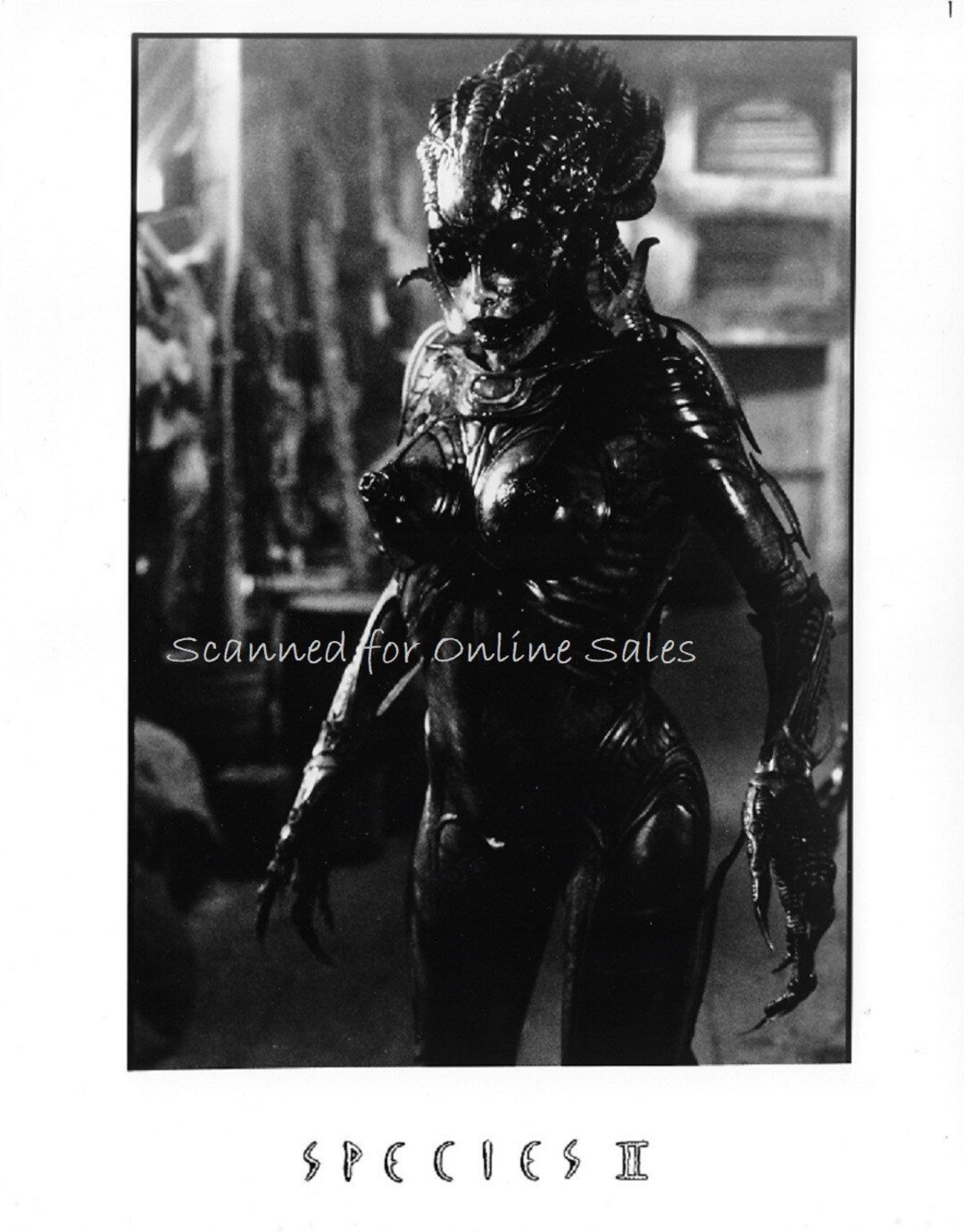Species II 8x10 Photo - Etsy