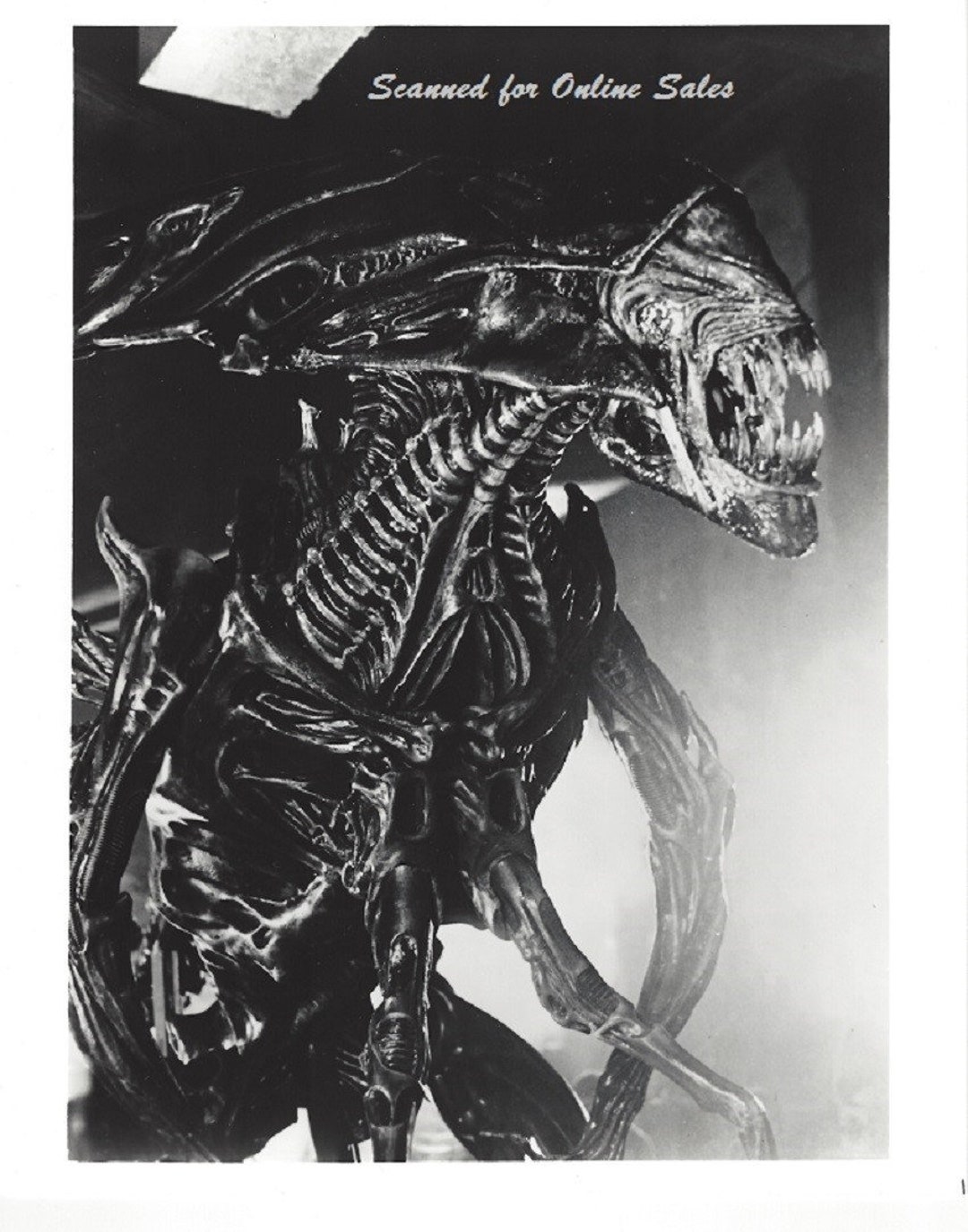 1986 Aliens Alien Creature 8x10 Photo - Etsy