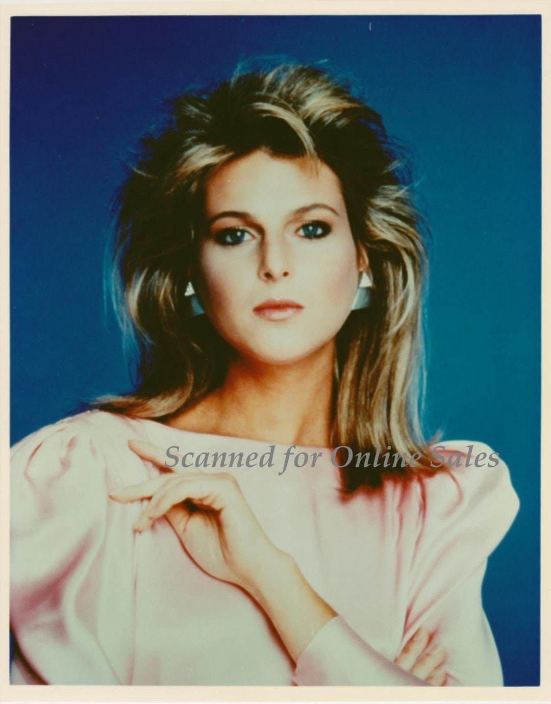 Dynasty Catherine Oxenberg Amanda Carrington 8x10 Photo - Etsy
