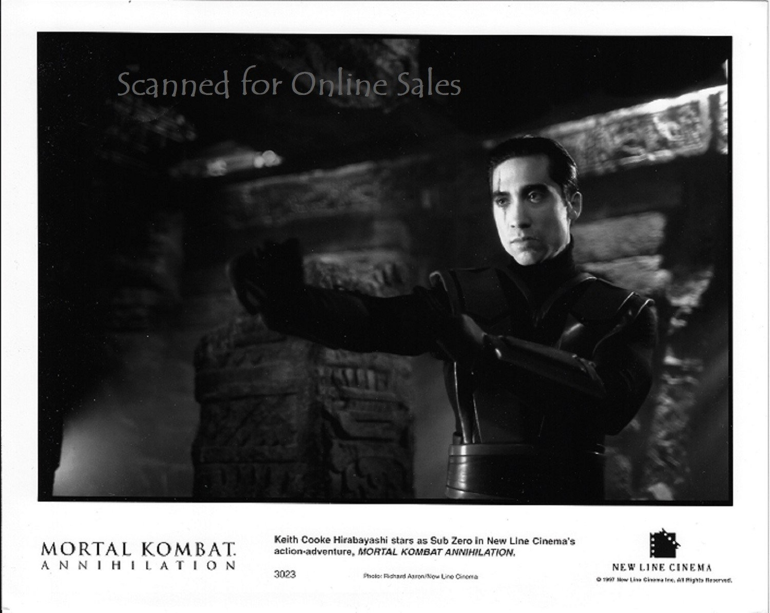 Mortal Kombat Annihilation Movie Poster