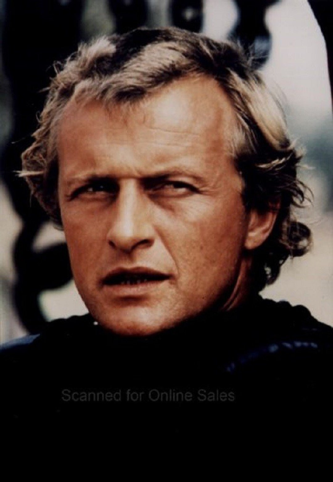 Rutger Hauer A Breed Apart 4x6 Photo - Etsy