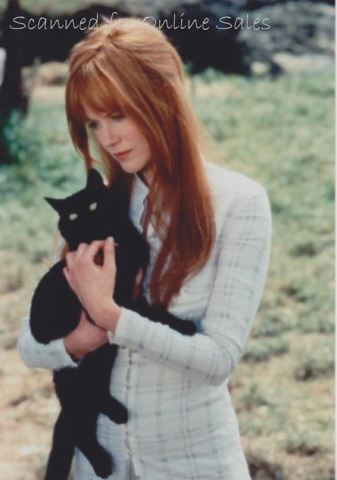 Nicole Kidman With Black Cat Practical Magic 4x6 Photo - Etsy