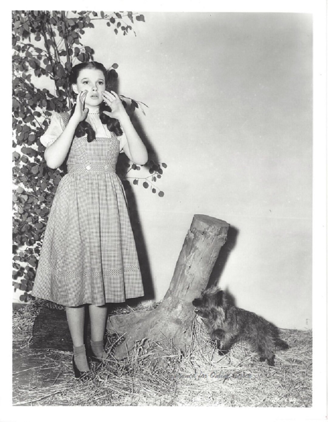 Judy Garland Dorothy And Toto