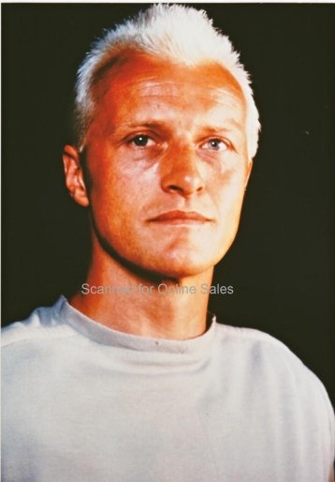 Blade Runner Roy Batty Rutger Hauer Replicant 4x6 Photo - Etsy